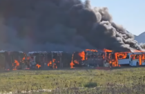 Janë paguar 335.963.096 denarë për 1.211 blegtorë – Tetova Sot