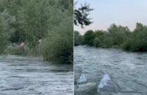 Dikur shofer autobusi, çfarë dihet për 12 vitet e diskutueshme të ...